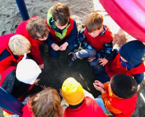 tiggy-fall2019-2 • Kitsilano Community Centre located in Vancouver ...